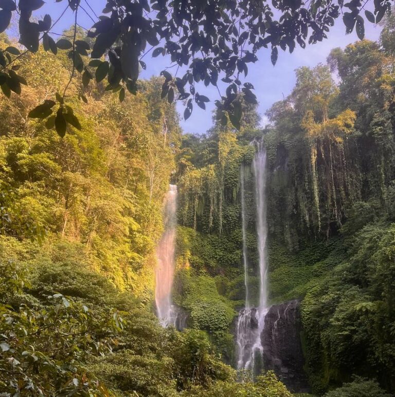 Wasserfall Bali | Asien-Reiseportal